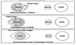 Day 56 -Q 1. What are tides? How do tides form? Explain. What is the ...