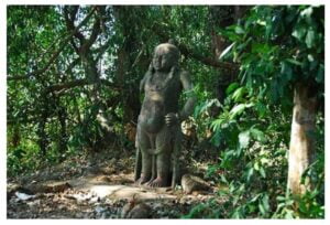 Devara Kaadu of Coorg | IASbaba