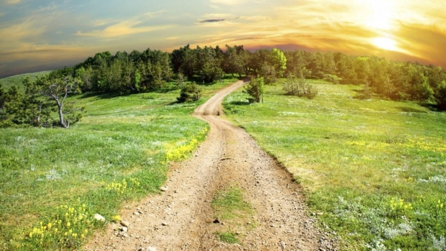 Creative Guidance – The Path is Beautiful – Inspirational Educative ...