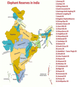 Elephant Conservation | IASbaba