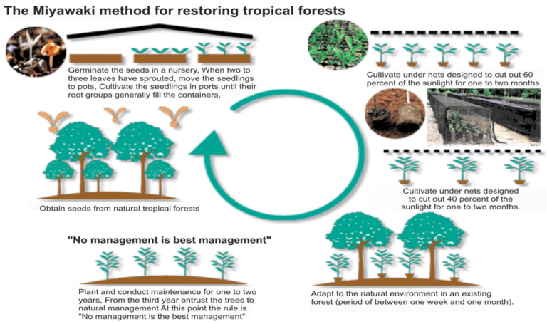 MY VILLAGE, MY FOREST under MIYAWAKI METHOD | IASbaba