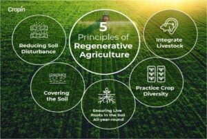 Regenerative Farming | IASbaba