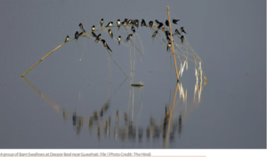 Deepor Beel | IASbaba