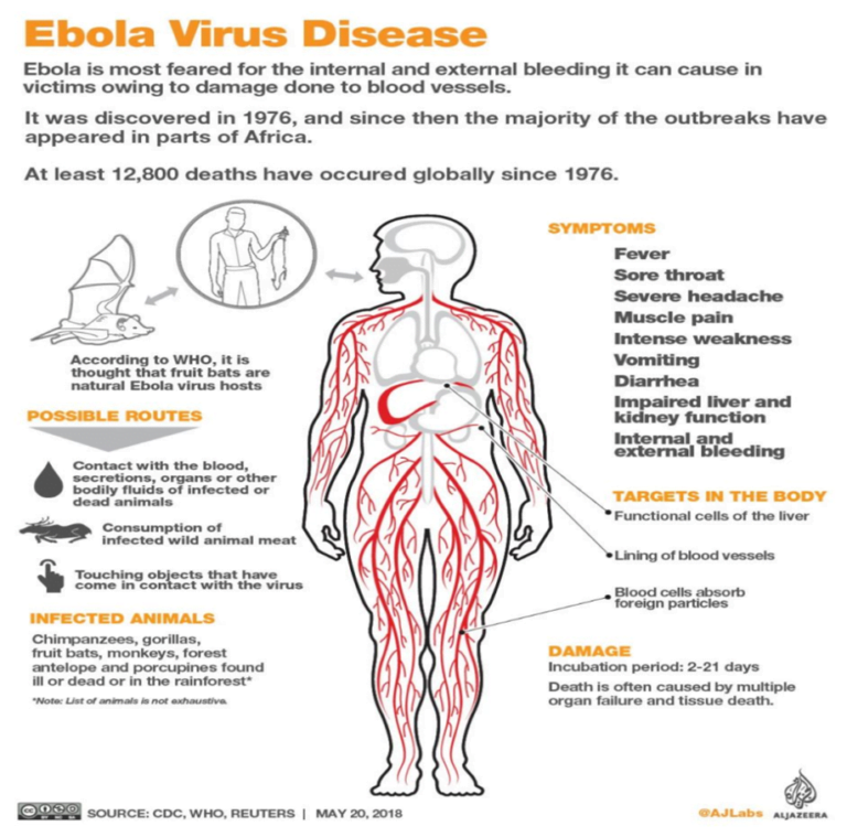 Ebola Disease | IASbaba