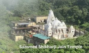 Sammed Shikharji Jain Temple and Shetrunjay hill | IASbaba