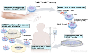 CAR T-cell therapy | IASbaba