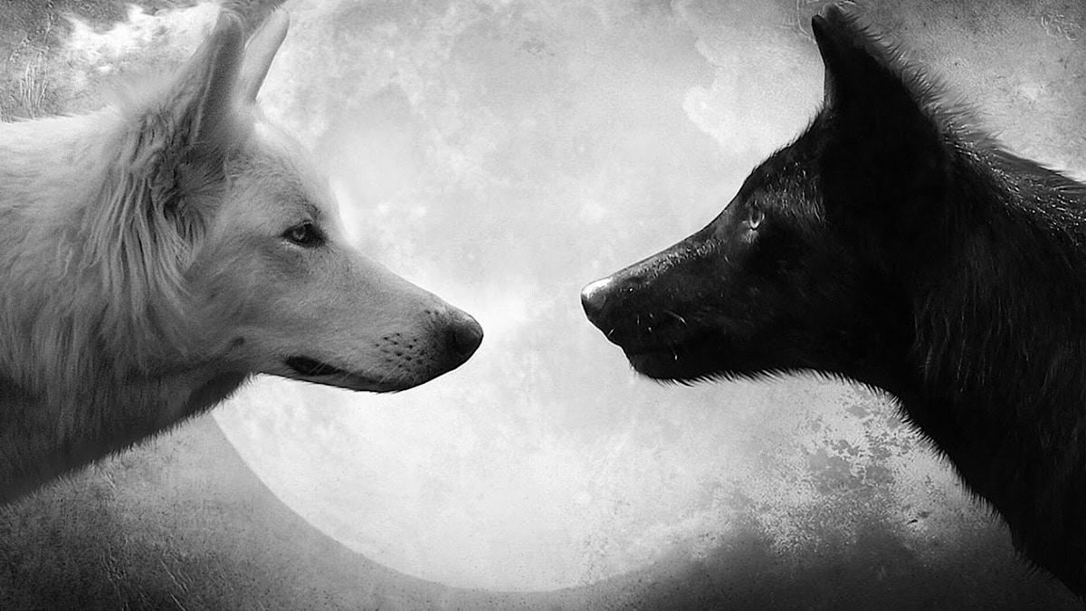 Creative Guidance – The Two Wolves – Inspirational Educative Articles ...